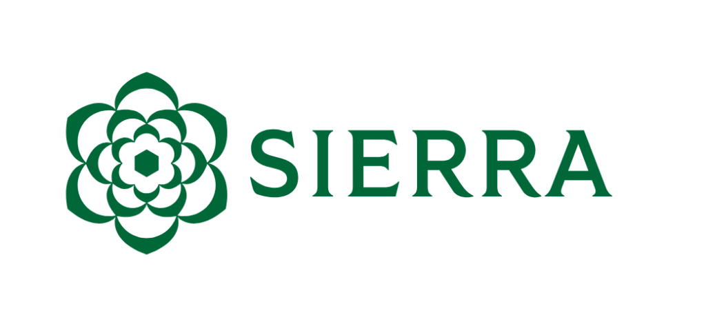 AI Startup Sierra, Co-Founded by OpenAI Chair Bret Taylor, Hits $4.5B ...