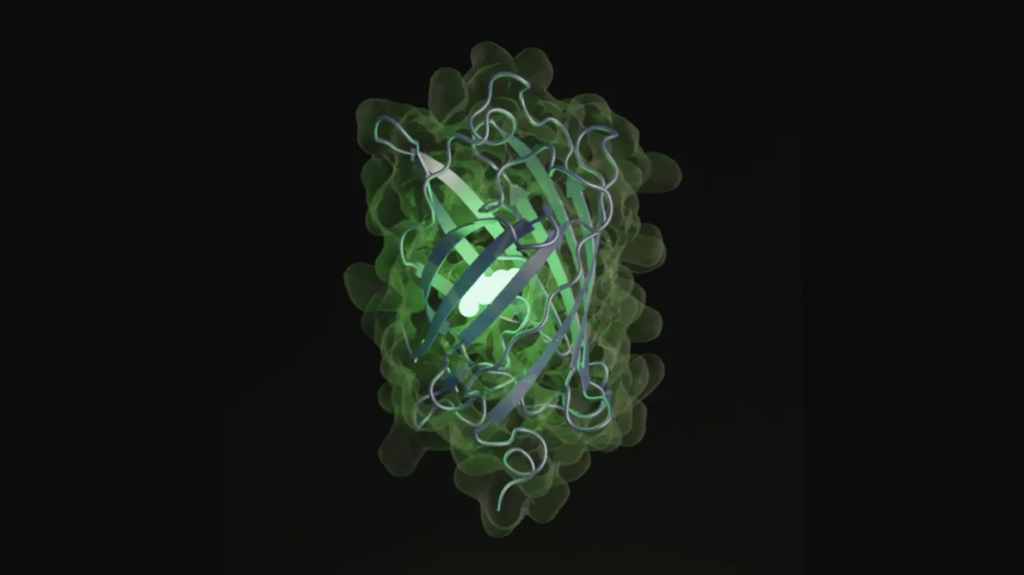AI Simulates 500 Million Years of Evolution to Design Shiny New Proteins