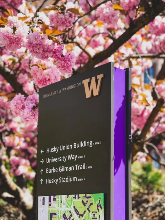 University of Washington Study Finds Major Security Flaws in AI Browser ...